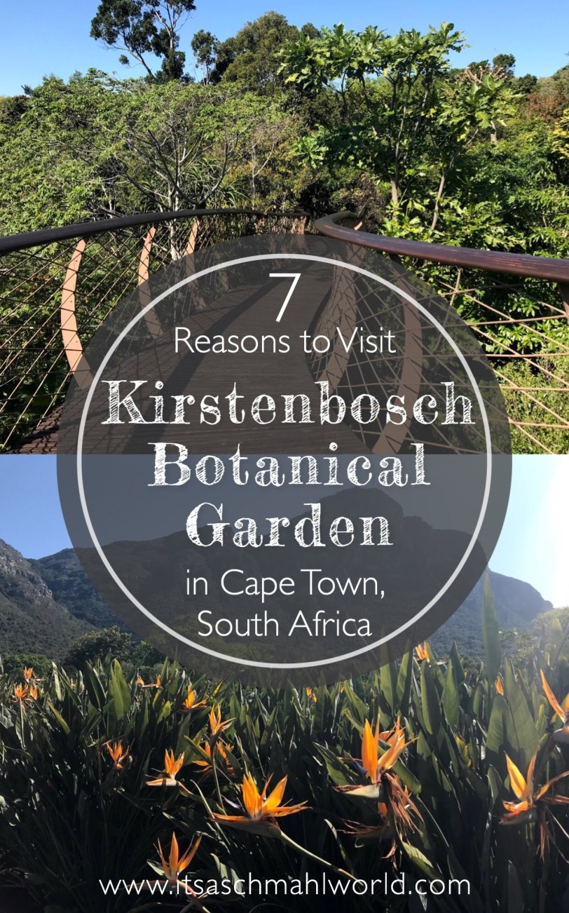 7 Reasons to Visit Kirstenbosch Botanical Garden in Cape Town, South ...
