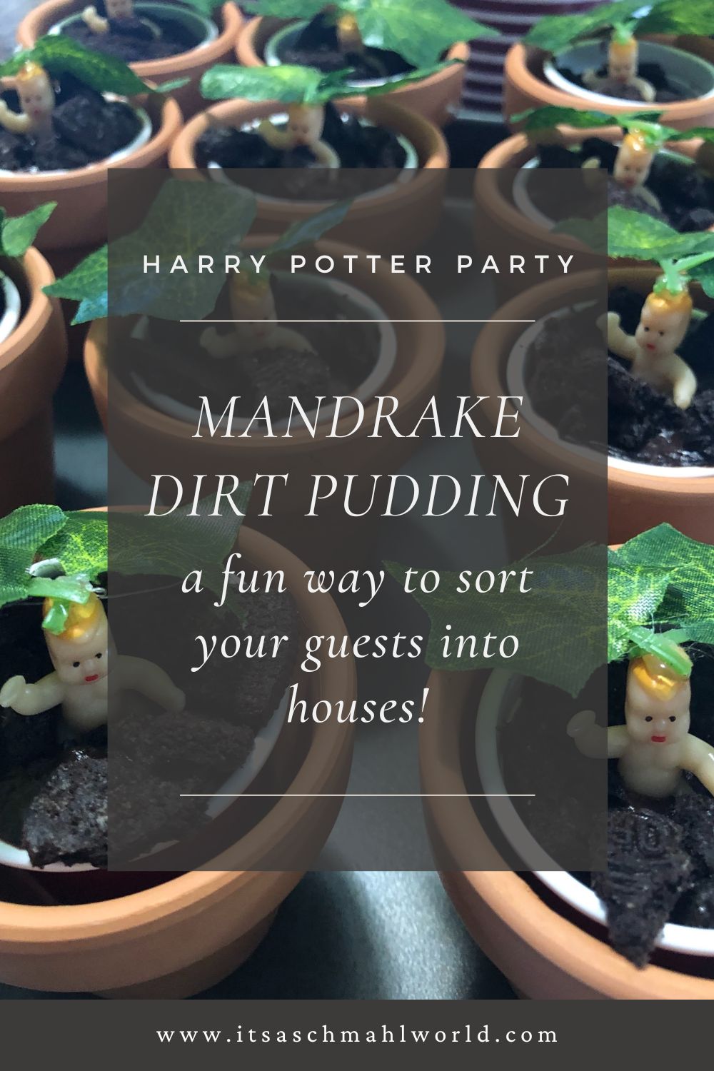 Harry Potter Party: Mandrake Dirt Pudding Sorting Ceremony – It's a ...