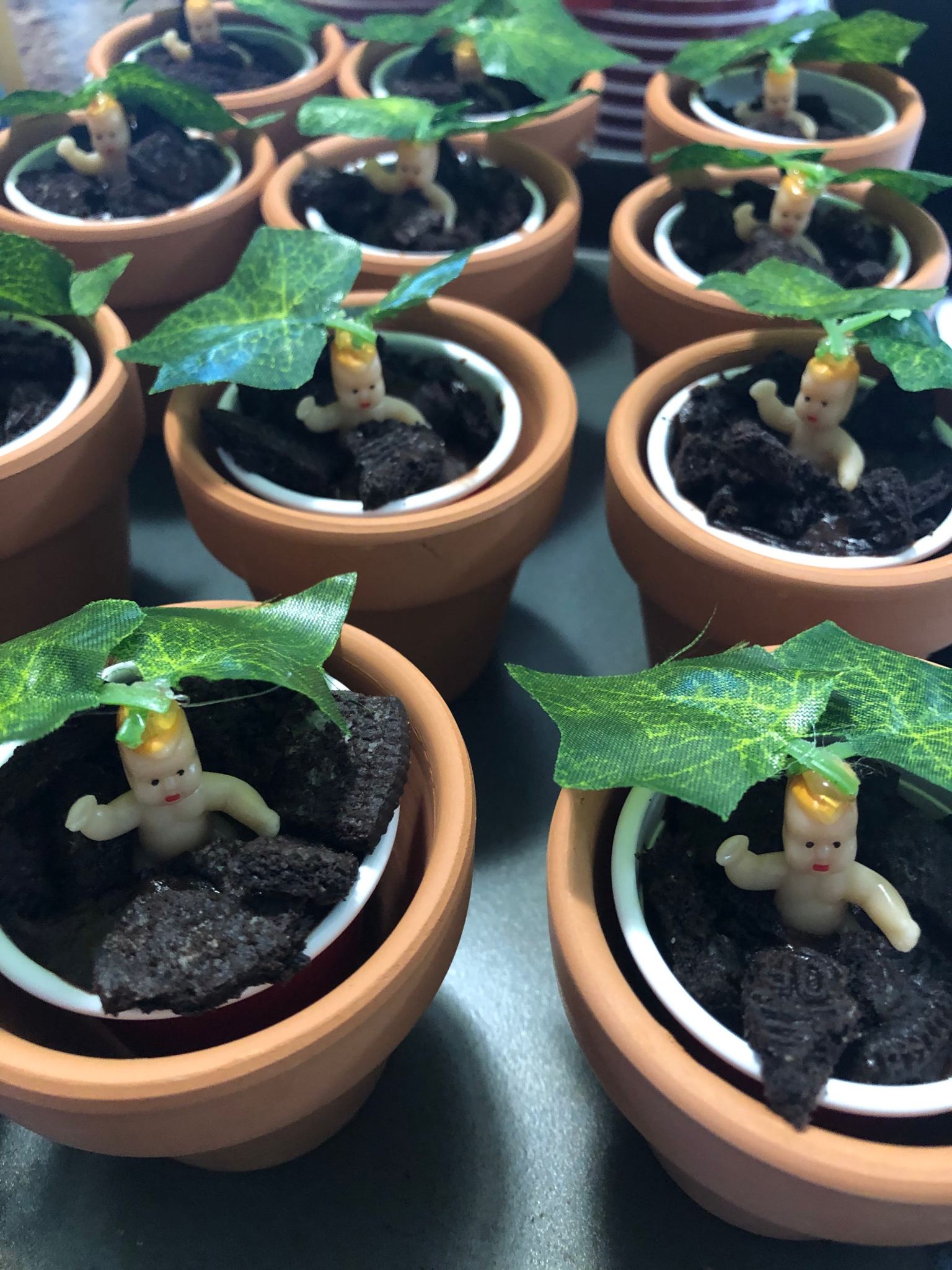 Harry Potter Party: Mandrake Dirt Pudding Sorting Ceremony – It's a ...